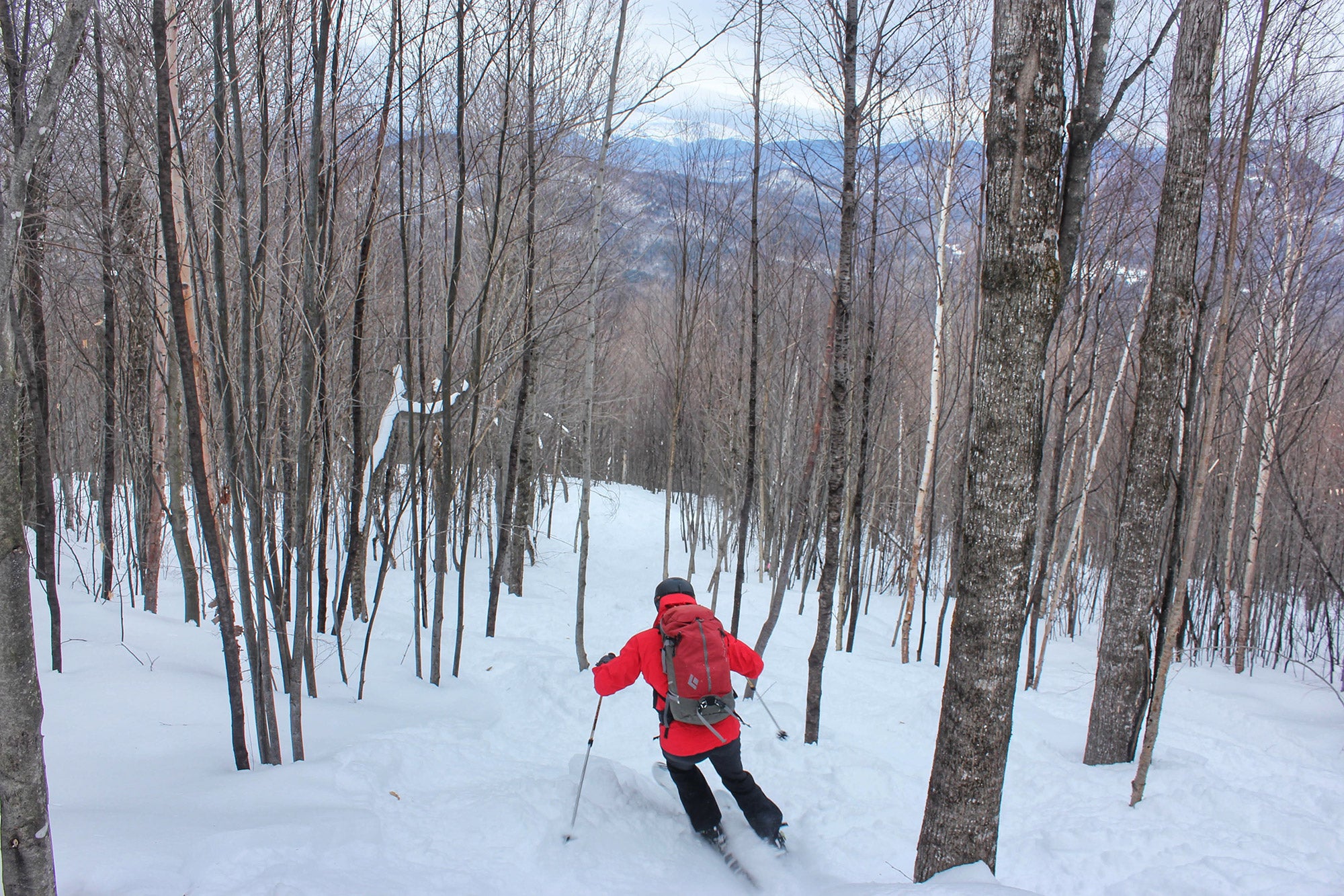 Tree Wells – Sundance Ski and Board Shop